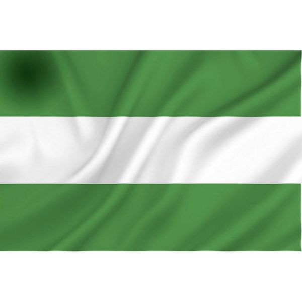 Kmarine Vlag Rotterdam 20 x 30 cm € 8,95 - KOK watersport